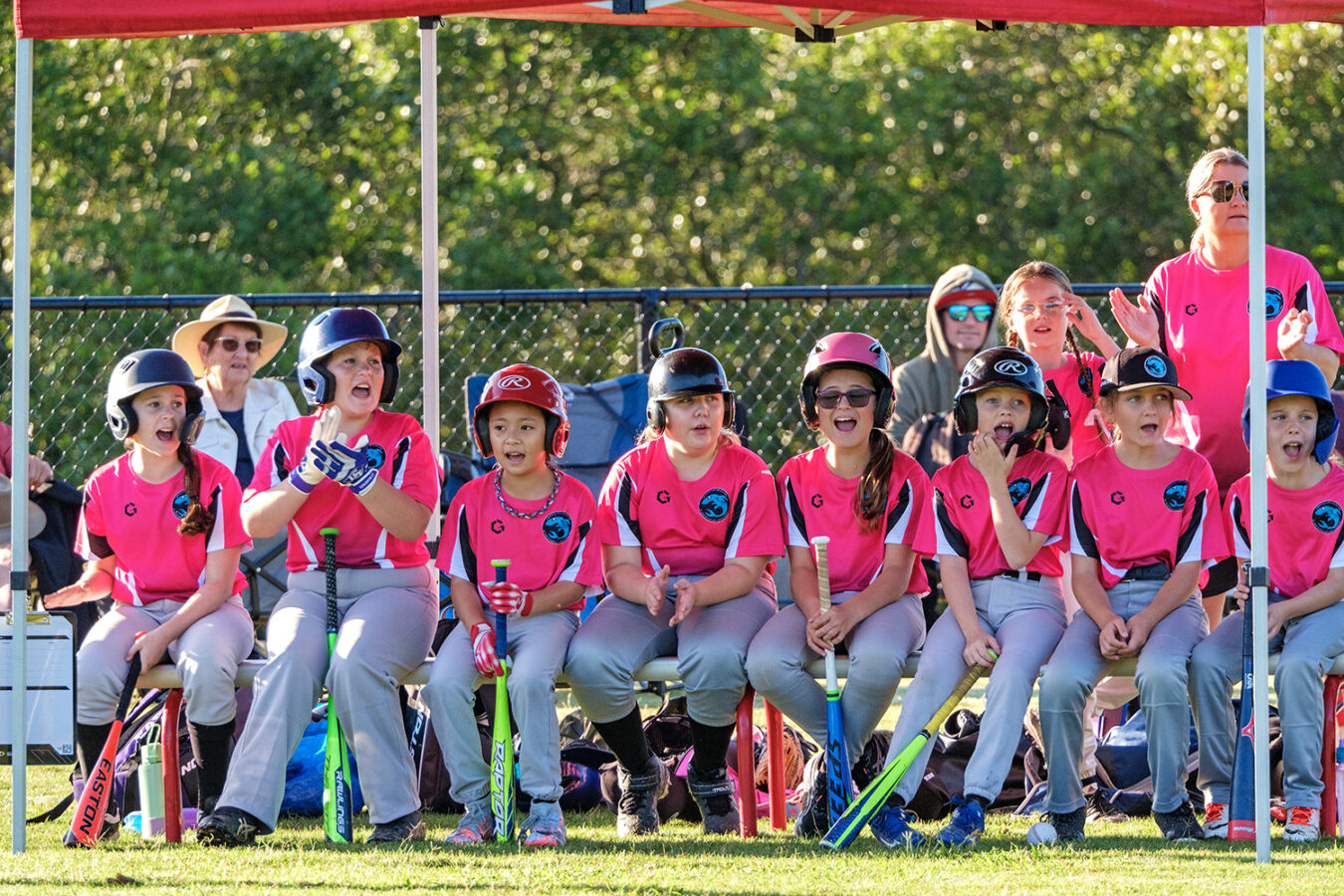 Little League Girls Championship – Team Announcements – Baseball NSW
