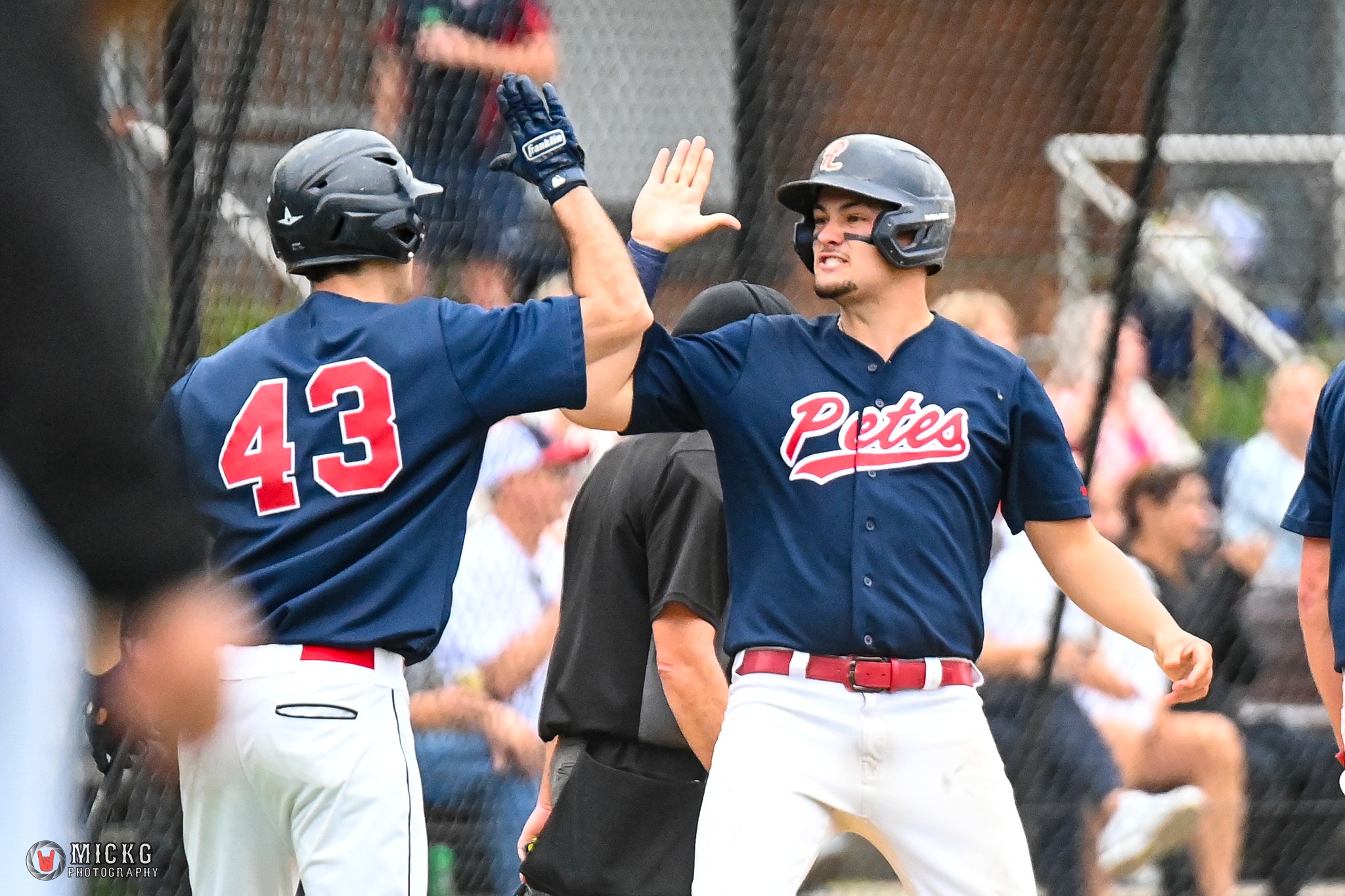 Sydney Winter Baseball League 2024 comes to a close – Baseball NSW