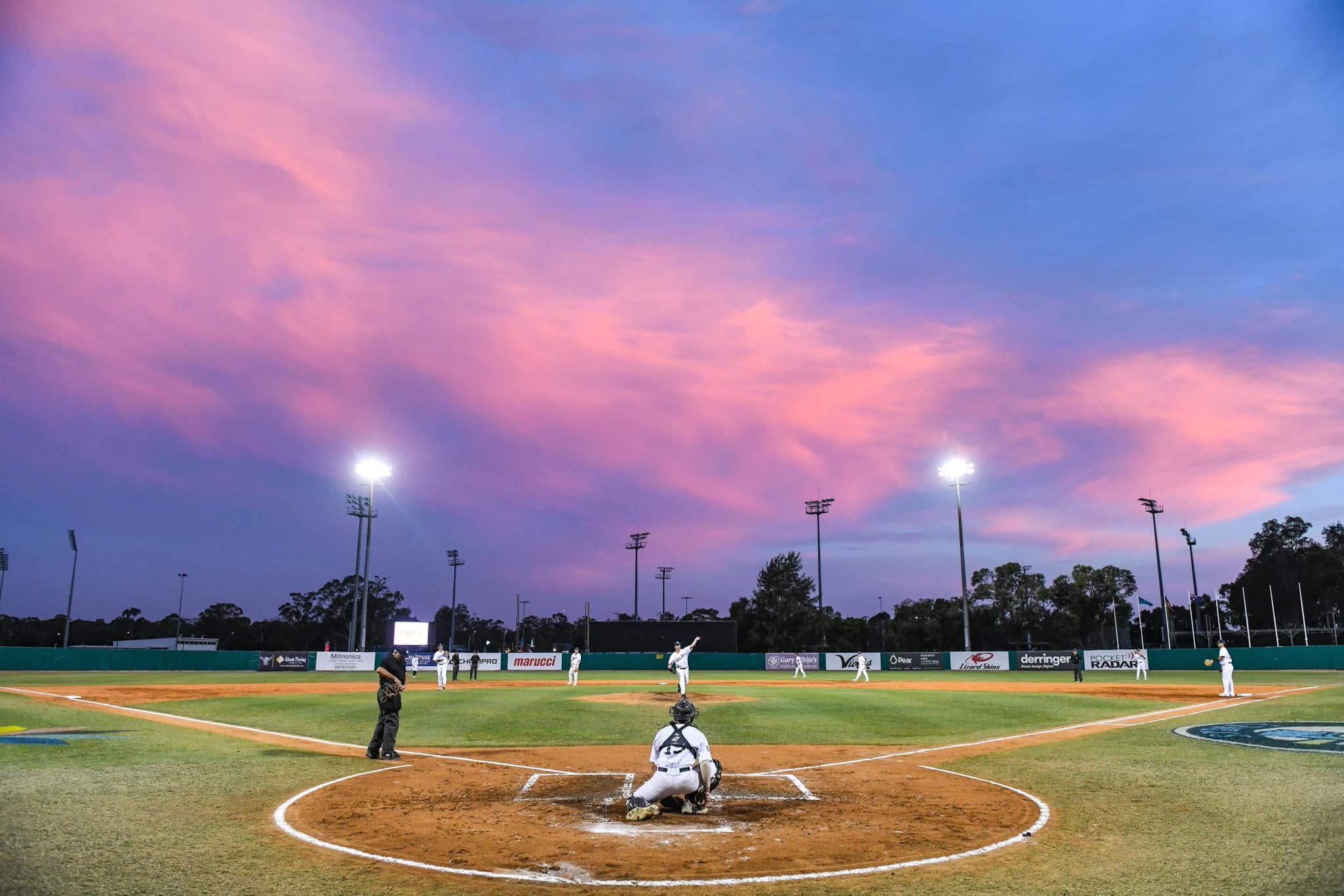 Sydney Blue Sox Season Comes to Heartbreaking End – Baseball NSW