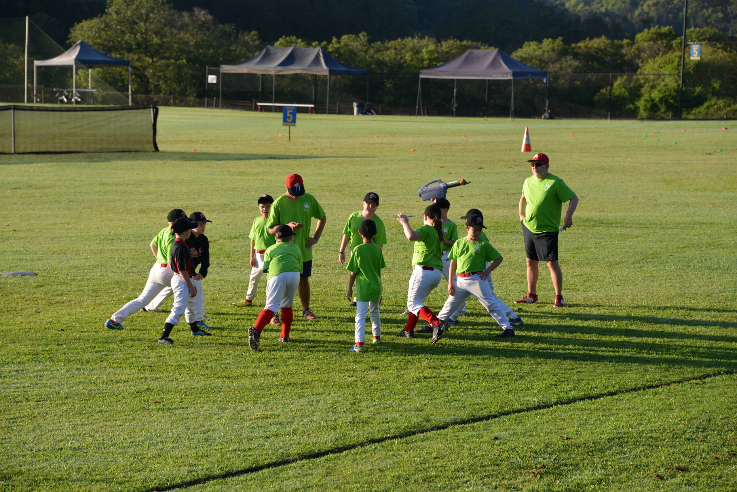 2026 Rookies Cup Expression of Interest – Baseball NSW