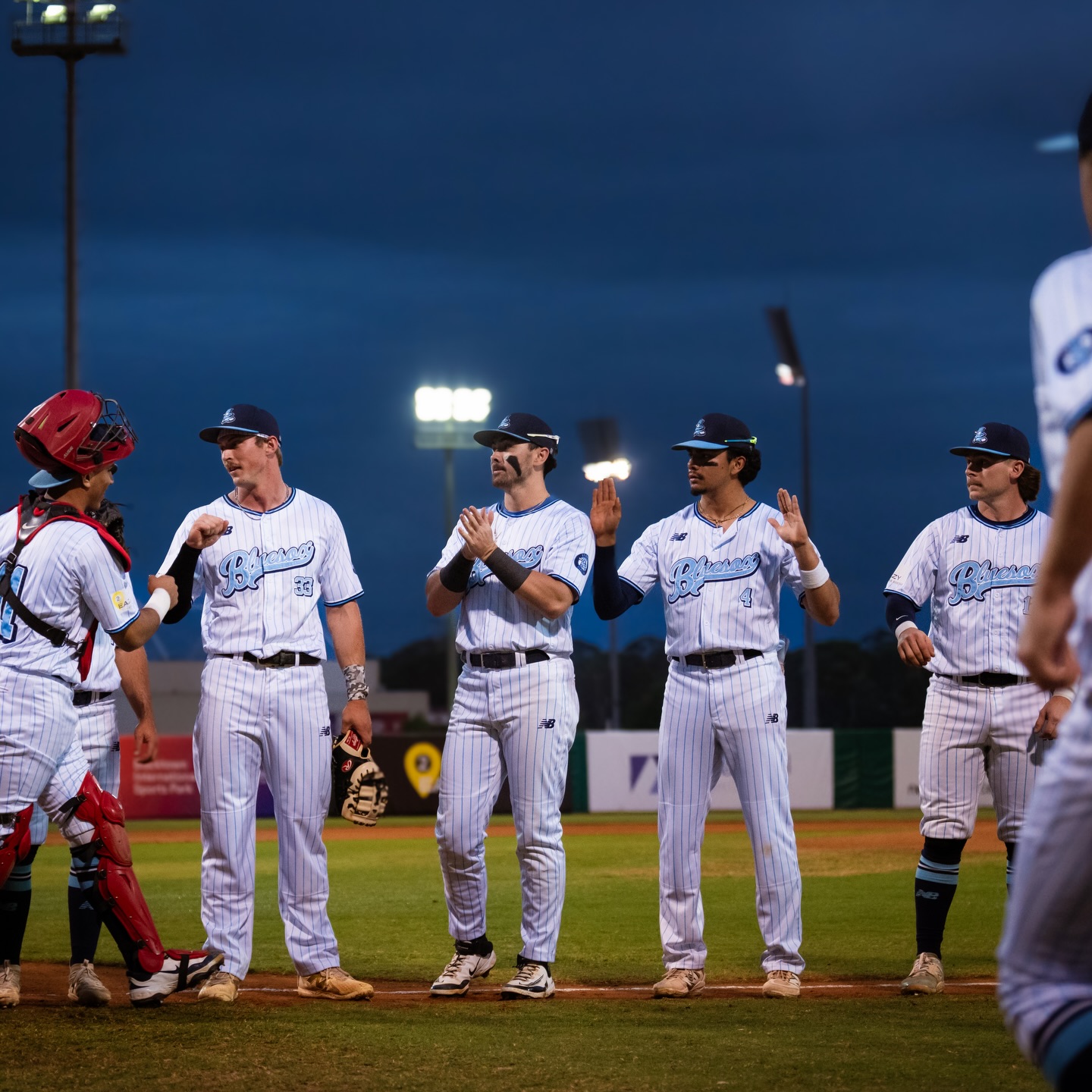 Sydney Blue Sox Split Round 5 with Perth Heat – Baseball NSW