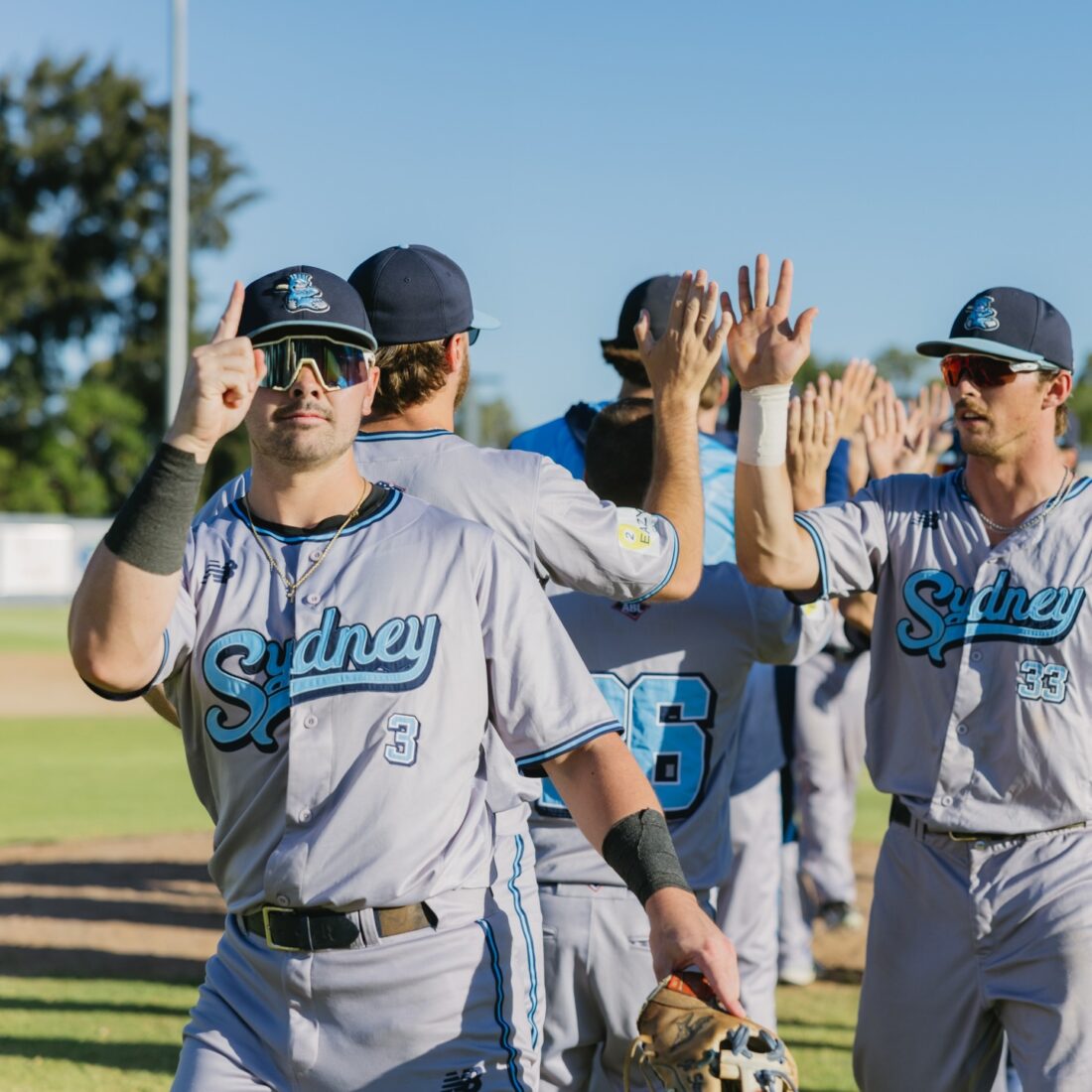 Sydney Blue Sox to Host First-Ever ABL Championship Series – Baseball NSW
